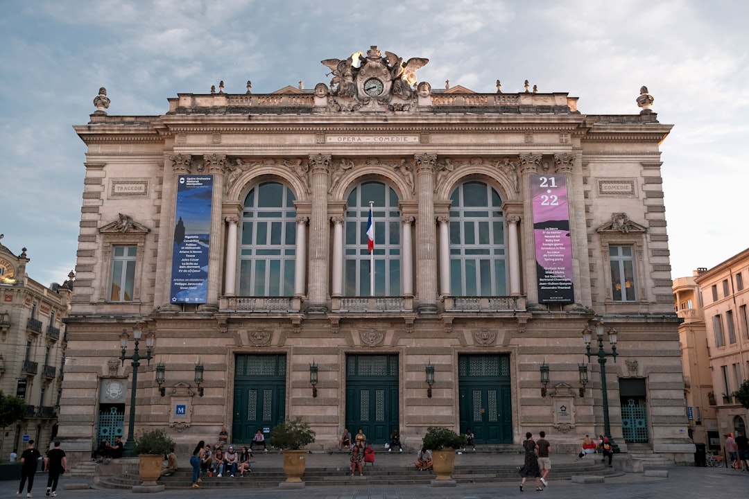 ENT Fac de Droit Montpellier : accéder aux cours et réussir ses examens ...